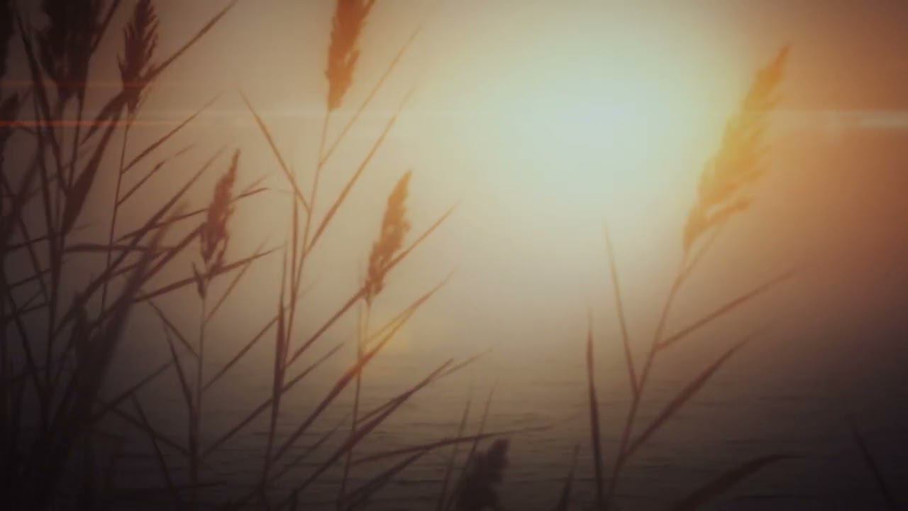 Эдуард Асадов. "Я могу тебя очень ждать..."