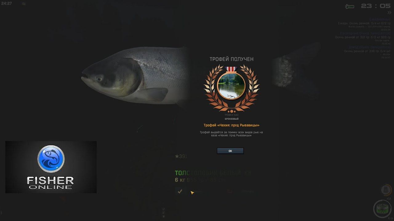 Fisher Online / точка на белого толстолобика, получена бронзовая награда Чехия, пруд Рыбавицы