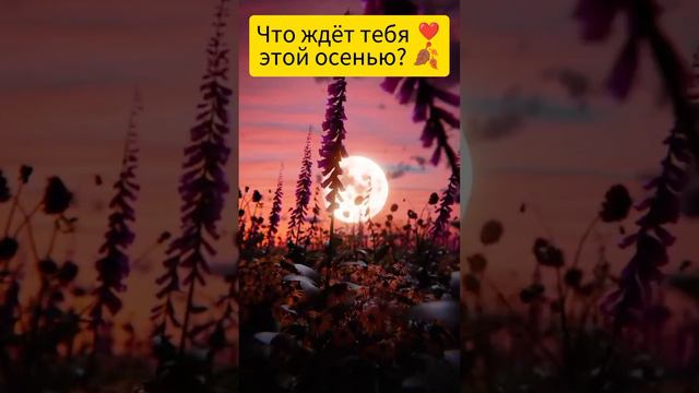 Событие осени