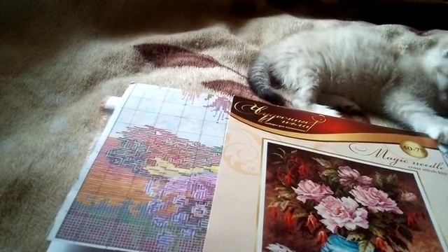 Отшив проект от "Чудесная игла" Розы и фуксии отчет 10