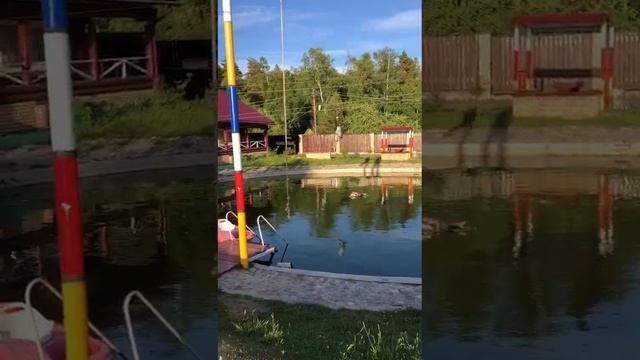 На "Розовой даче" у вас не будет времени скучать...