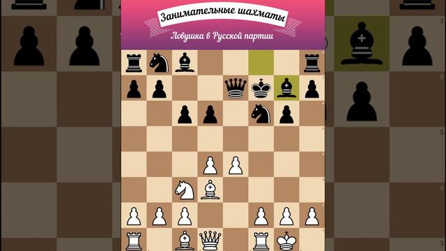 Ловушка в Русской партии