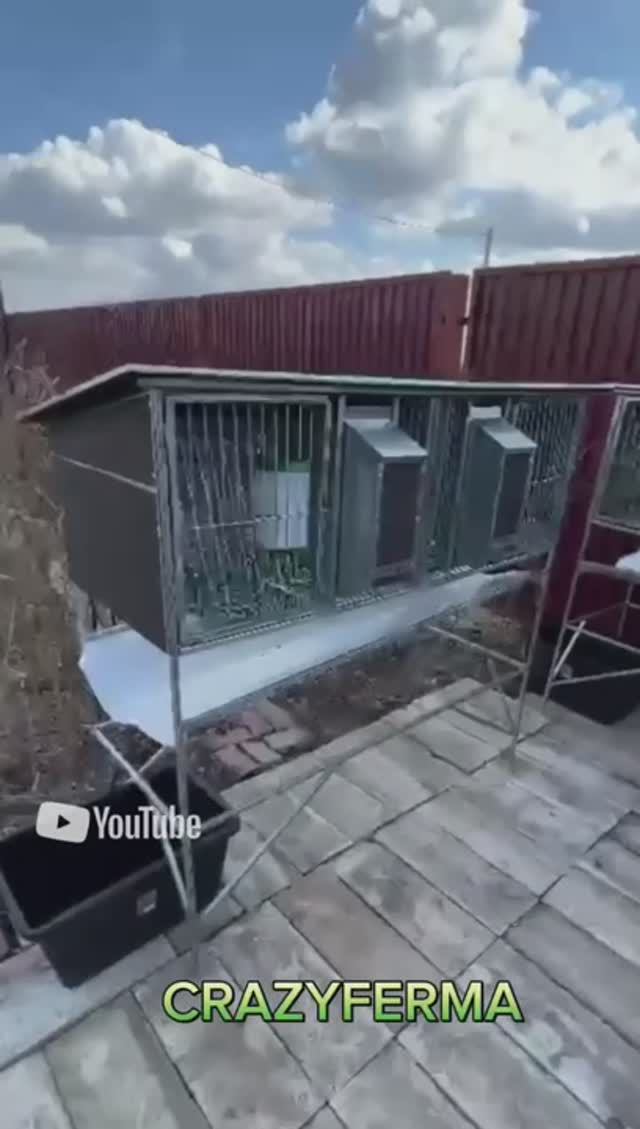 Крольчатник _Фаворит_ самый уютный и комфортный домик. Полный видео-обзор #ферма #кролик #shorts