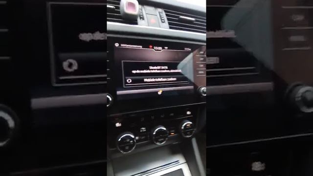 Bluetooth octavia(4)