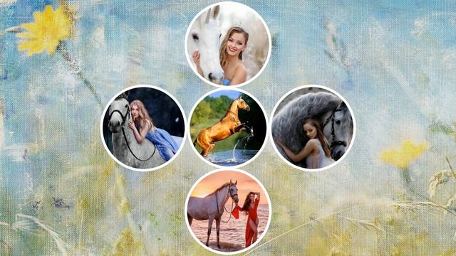 Кони, фото  и движение линий.