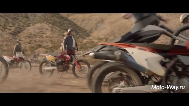 Мотавр (Motaur) 5