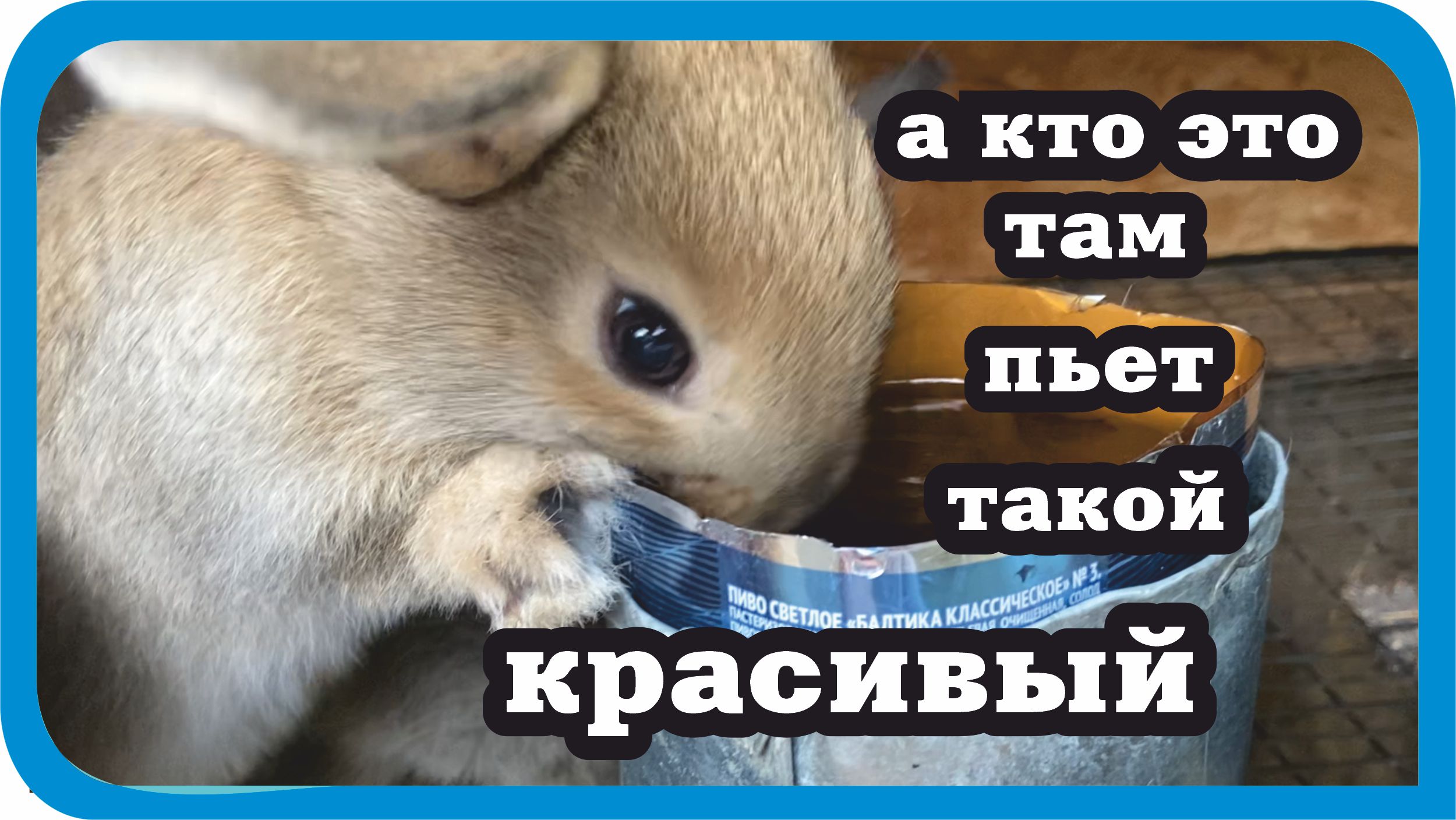 ХОРОШО Растем и развиваемся