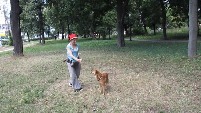 Джек проба1 31.07.2022