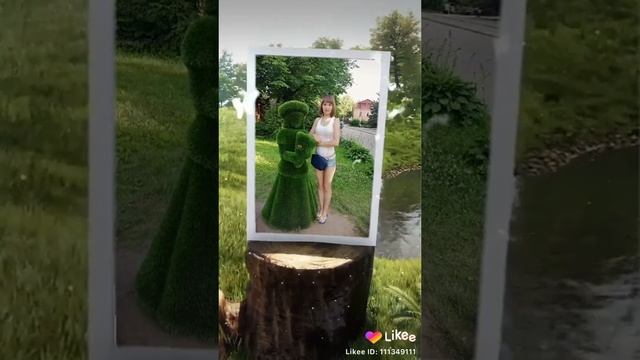 Без названия