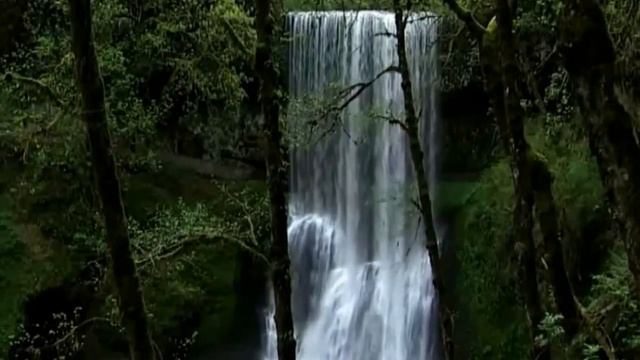 Экологическая рубрика «Всё это называется природой»