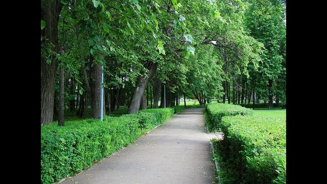 Звенигород Ершово