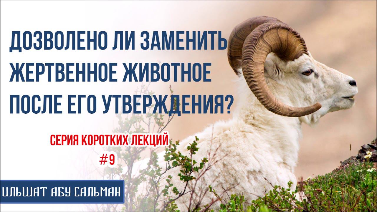 Ильшат Абу Сальман. Дозволено ли заменить жертвенное животное после его утверждения? Курбан-Байрам