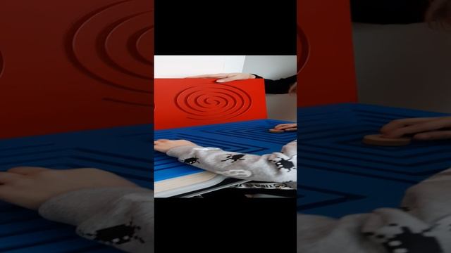Нейтротренажер. Межполушарные доски