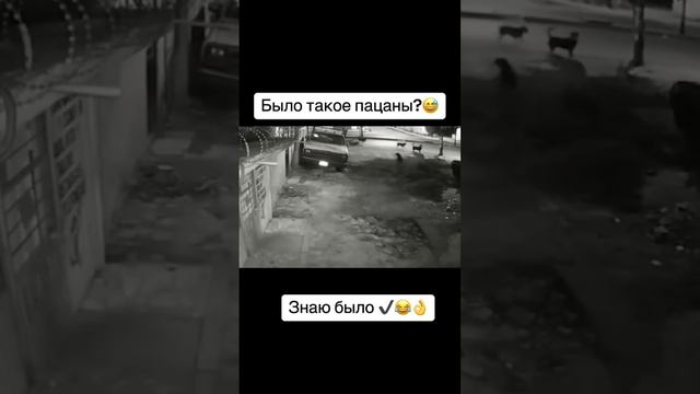 смельчаки?