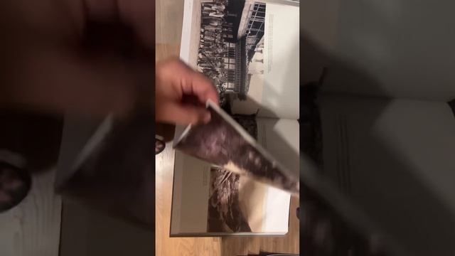 Эксплорейшенс. Видео показ книги.