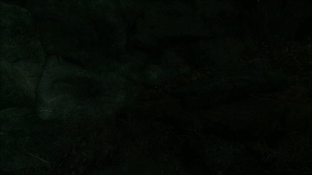 The Cursed Forest - Part 10