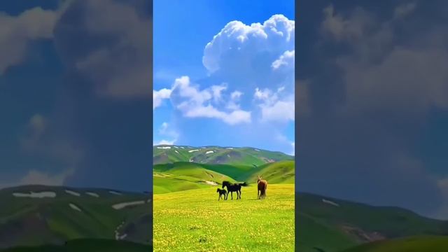 договор аренды спецтехники +с экипажем в #иркутске #ангарске #89025687333 #иркутск #ангарск #усолье