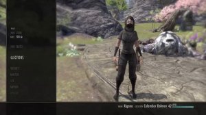 TESO легкая прокачка и разговоры по игре