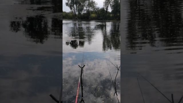 РЫБАЛКА.