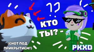 НОВАЯ ОБНОВА В PK XD, КТО ЖЕ ПРЯЧЕТСЯ ПОД МАСКОЙ КОТА..🦝👍🏻 #pkxd #лавиния #пкхд