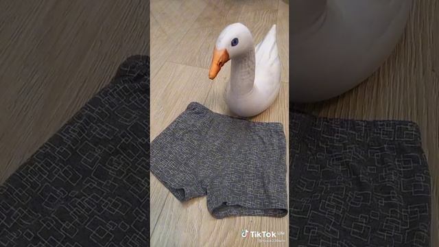 гусь крутой ?