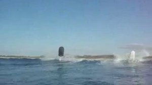 Jetski Damo