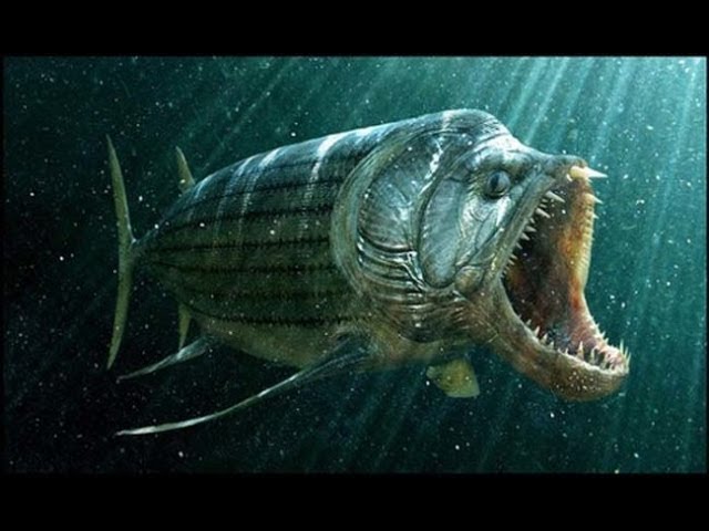 ПОДВОДНЫЕ ХИЩНИКИ.