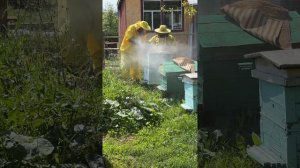Будто двое из химлаборатории 😁 Попробовал себя в роли пчеловода 🐝 #пасека #пчеловодство #пчёлы