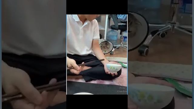 Дождик не намочит.mp4