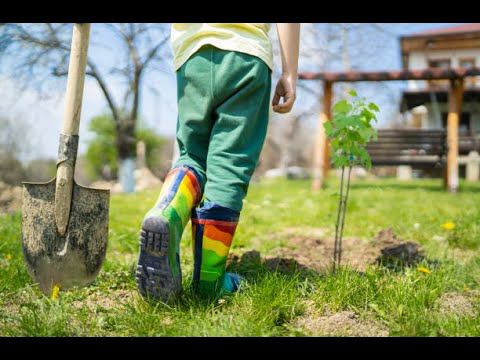 Всем дачникам посвящается