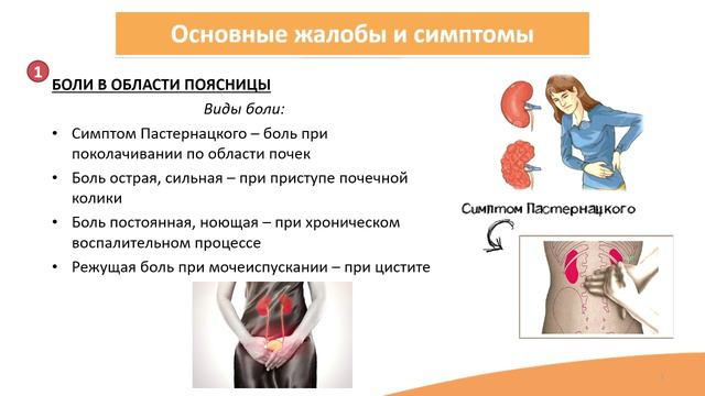 8.1. Заболевания органов мочевыделительной системы