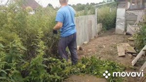 13 июля 2020 г.Как прошел субботний день.