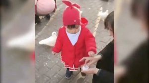 Девочка и голубь
