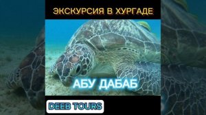 Экскурсия в Хургаде. Заповедник Абу Дабаб. Deebtours24.online