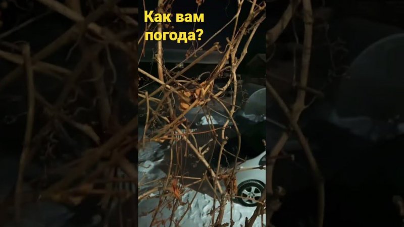 Крещенские морозы! Нужно срочно в прорубь!