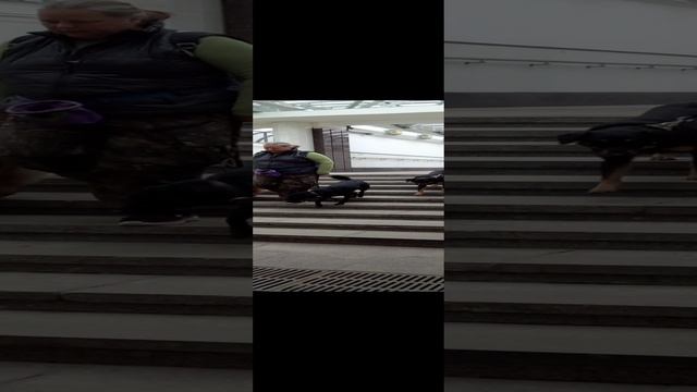Выход в город2 30.04.2023