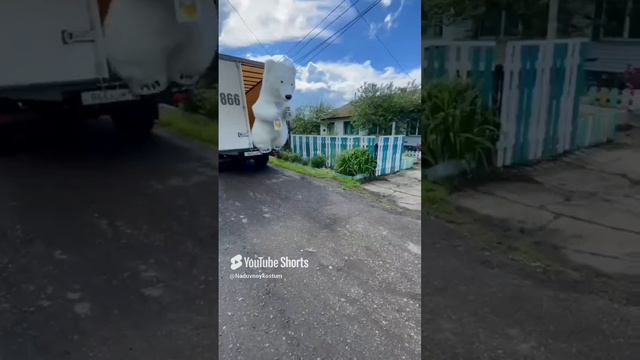 Эффектное Появление!😮 Белый Медведь Сюрприз Из Грузовика🚙 #bear #белыймедведь #праздник #шок #shor
