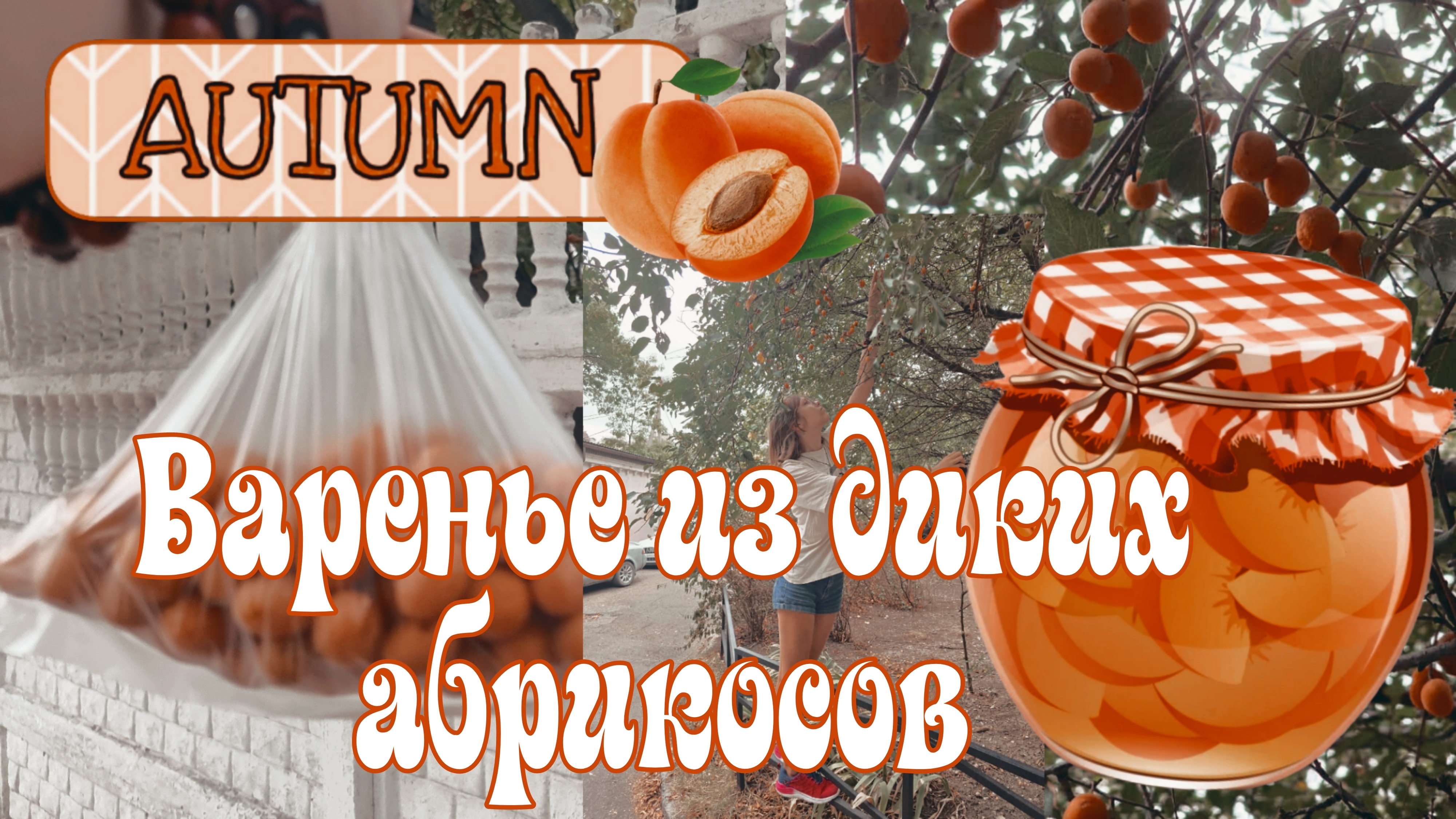 Варенье из диких абрикосов