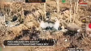 7 декабря — хроника главных событий этого дня.