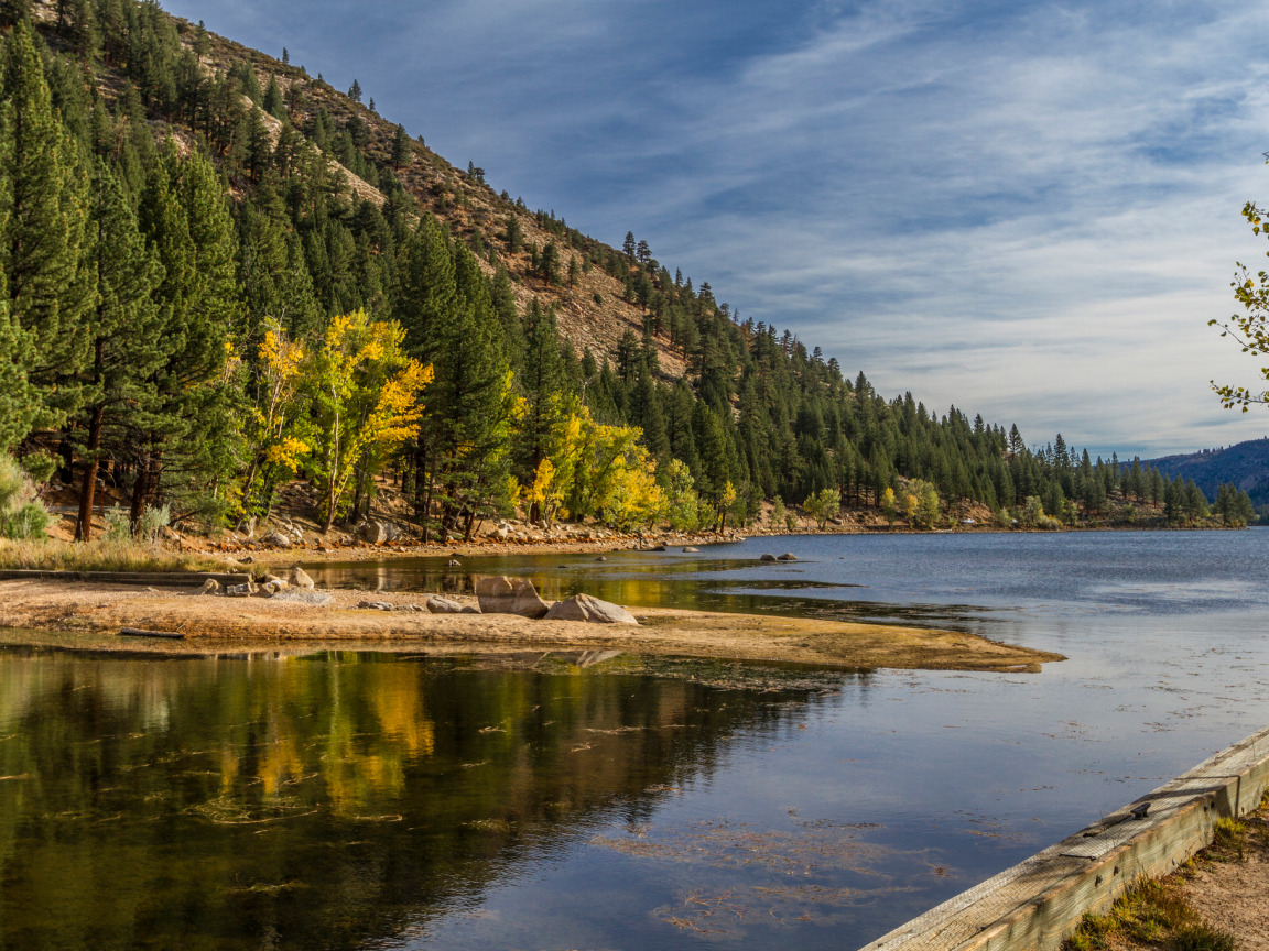 089.Трофеи 18.mp4