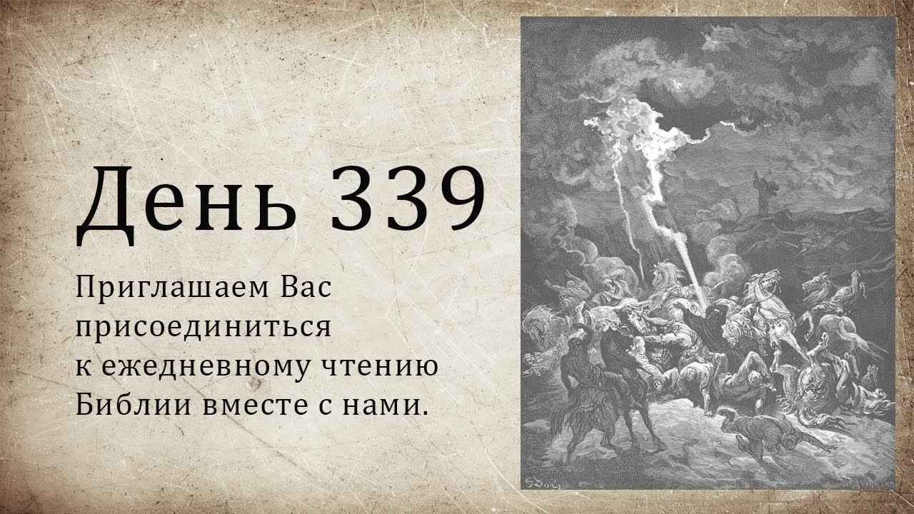 День 339 (Иов 6; Иов 7; Мих 2; Евр 12)
