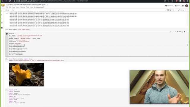 Getting Started with the Roboflow Inference API смотреть онлайн видео ...