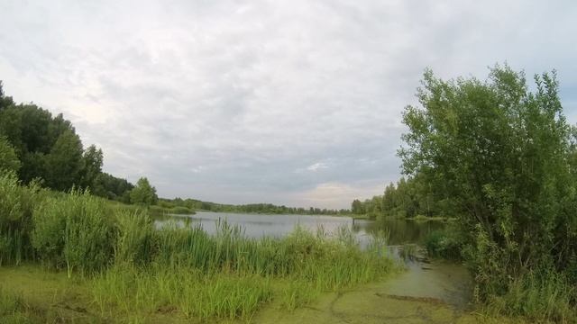 Таймлапс. Торфянка в Лосином острове. 04.04.2020 г.