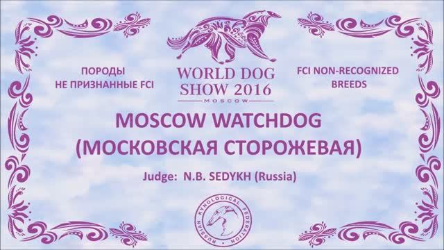 wds-2016, московская сторожевая - рабочий, ветераны
