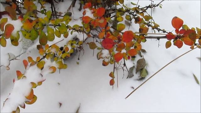 Мой фильм.wlmp   Кудесница зима !!!