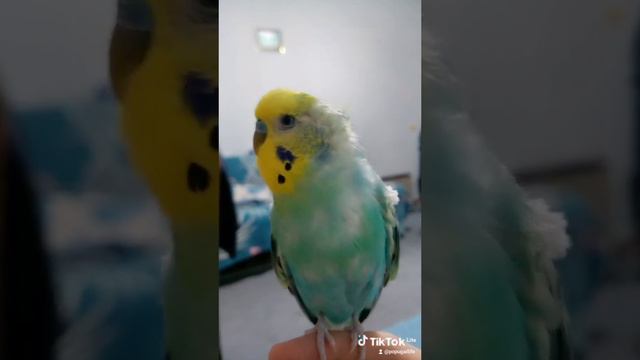 когда знаешь что самое грязное в квартире!