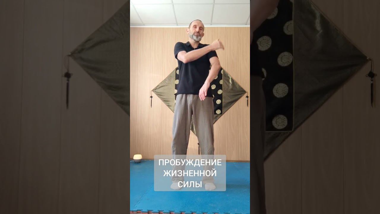 ПРОБУЖДЕНИЕ ЖИЗНЕННОЙ СИЛЫ / LIFE FORCE AWAKENING (Виктор Лактионов)