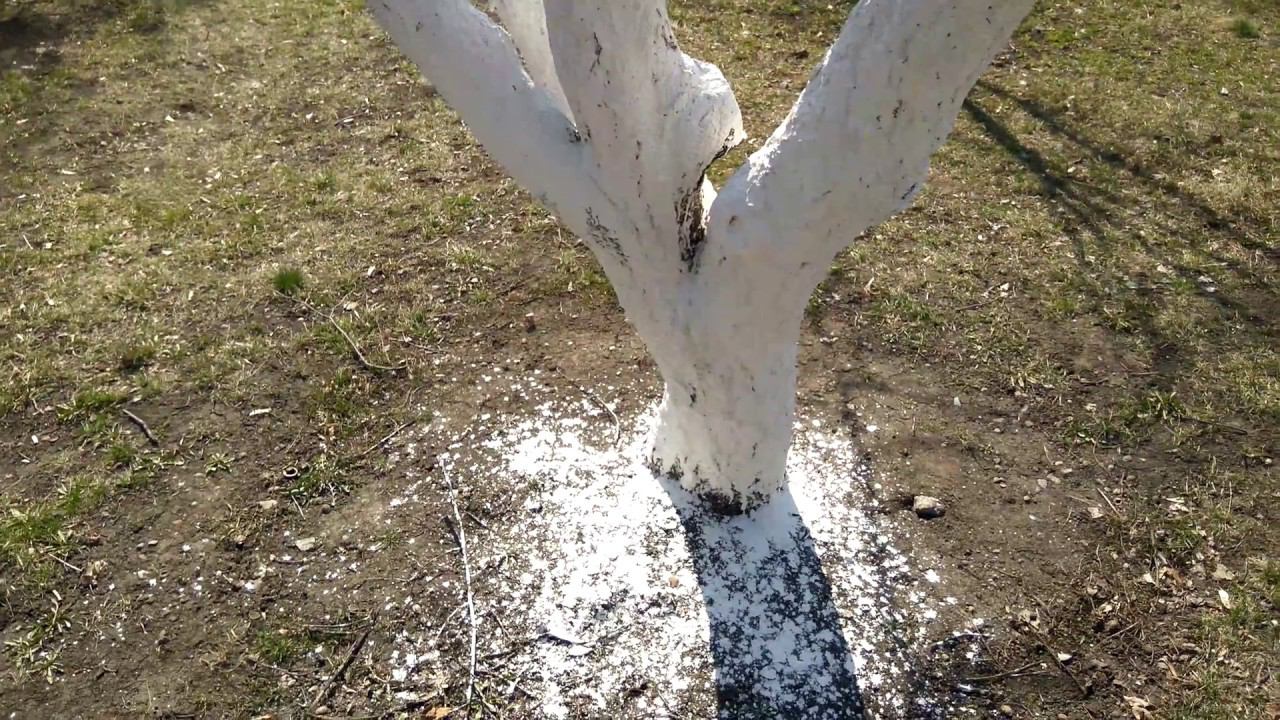 Videotest 4К (Xiaomi Redmi Note 3 Pro)