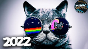 Music Mix 2022 ? EDM Remixes of Popular Songs ? EDM Best Music Mix.mp4
