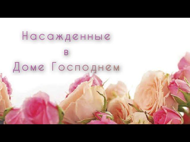 23.07 Рождена для счастья